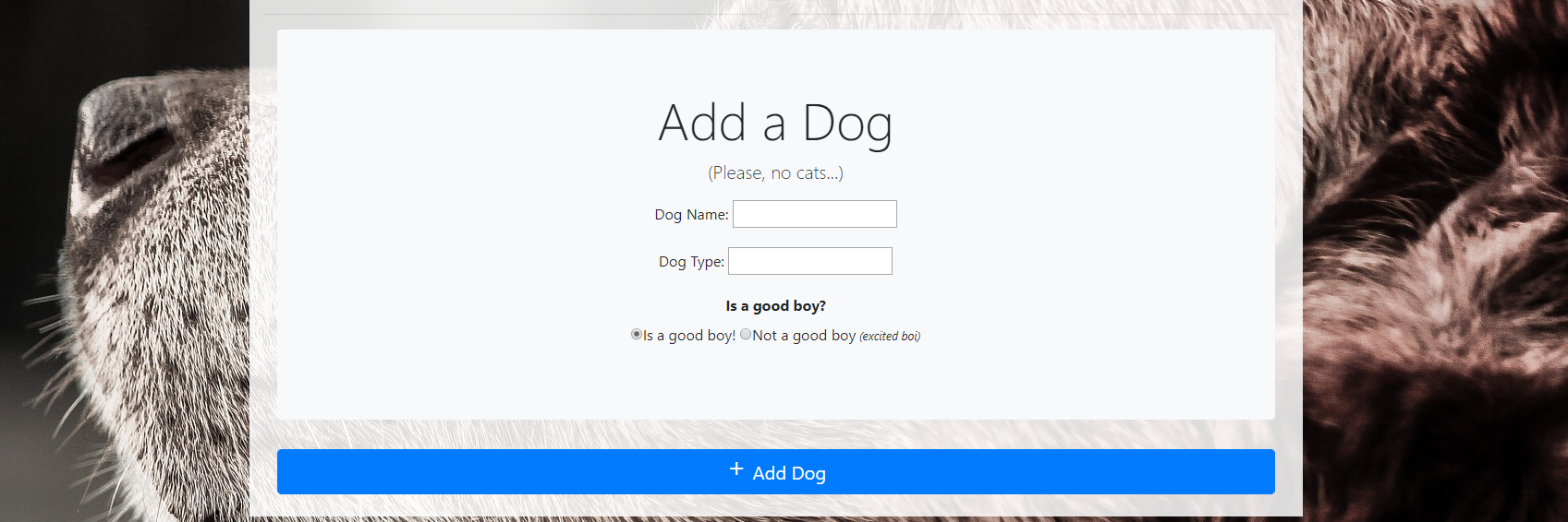 Christopher L Celestino - Full-Stack Web Developer